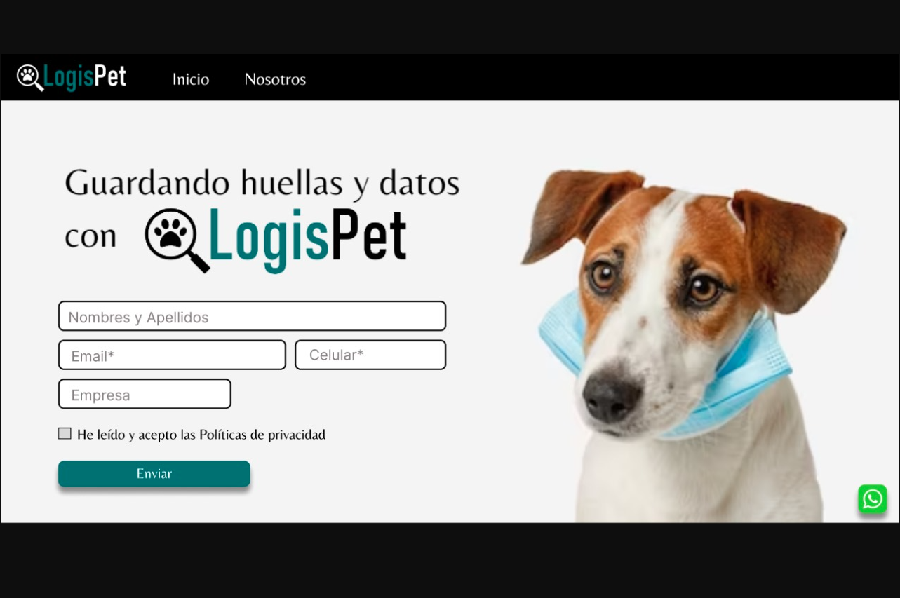 Alejandro Portfolio Website