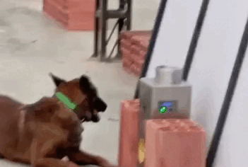 Alejandro Portfolio Website